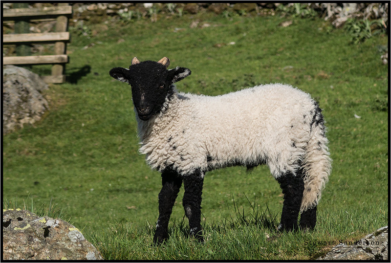 Stewart Sanderson Photography | The Full 13 Mile Kentmere Round ...